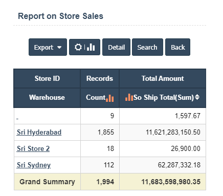 Store Report On Sales | Sri Software